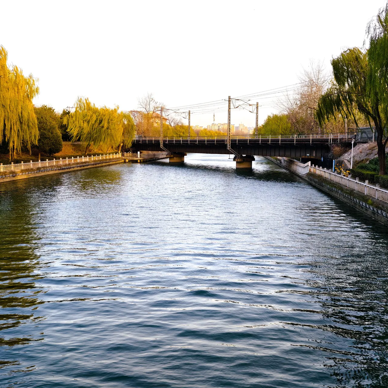 The Riverside Tiny Park: A Late Afternoon Walking Time
