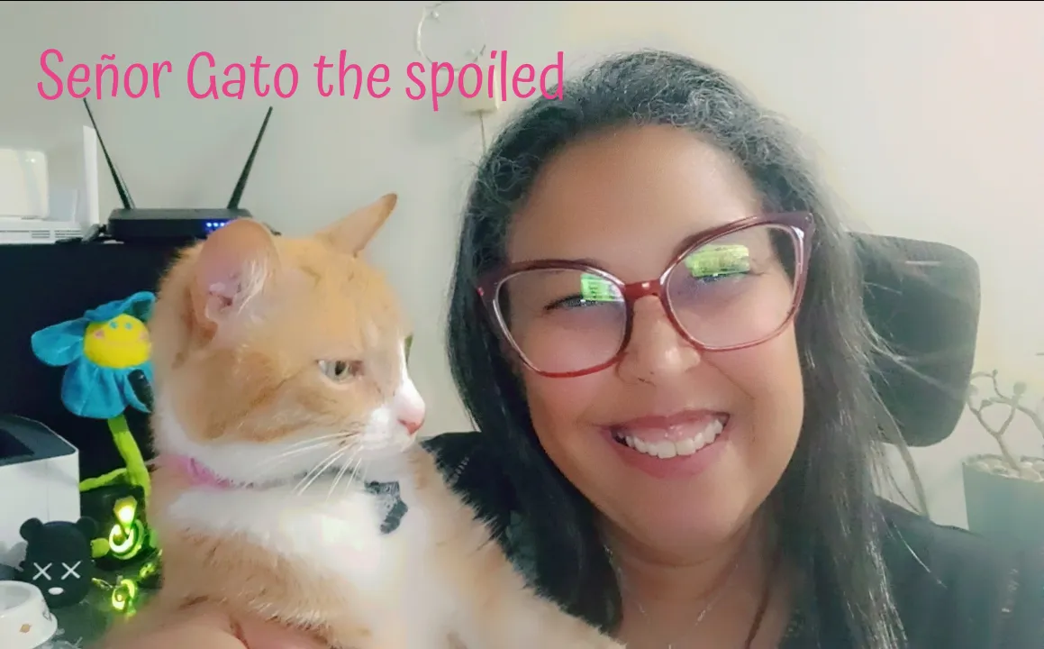 Señor Gato el consentido [ESP-ING]