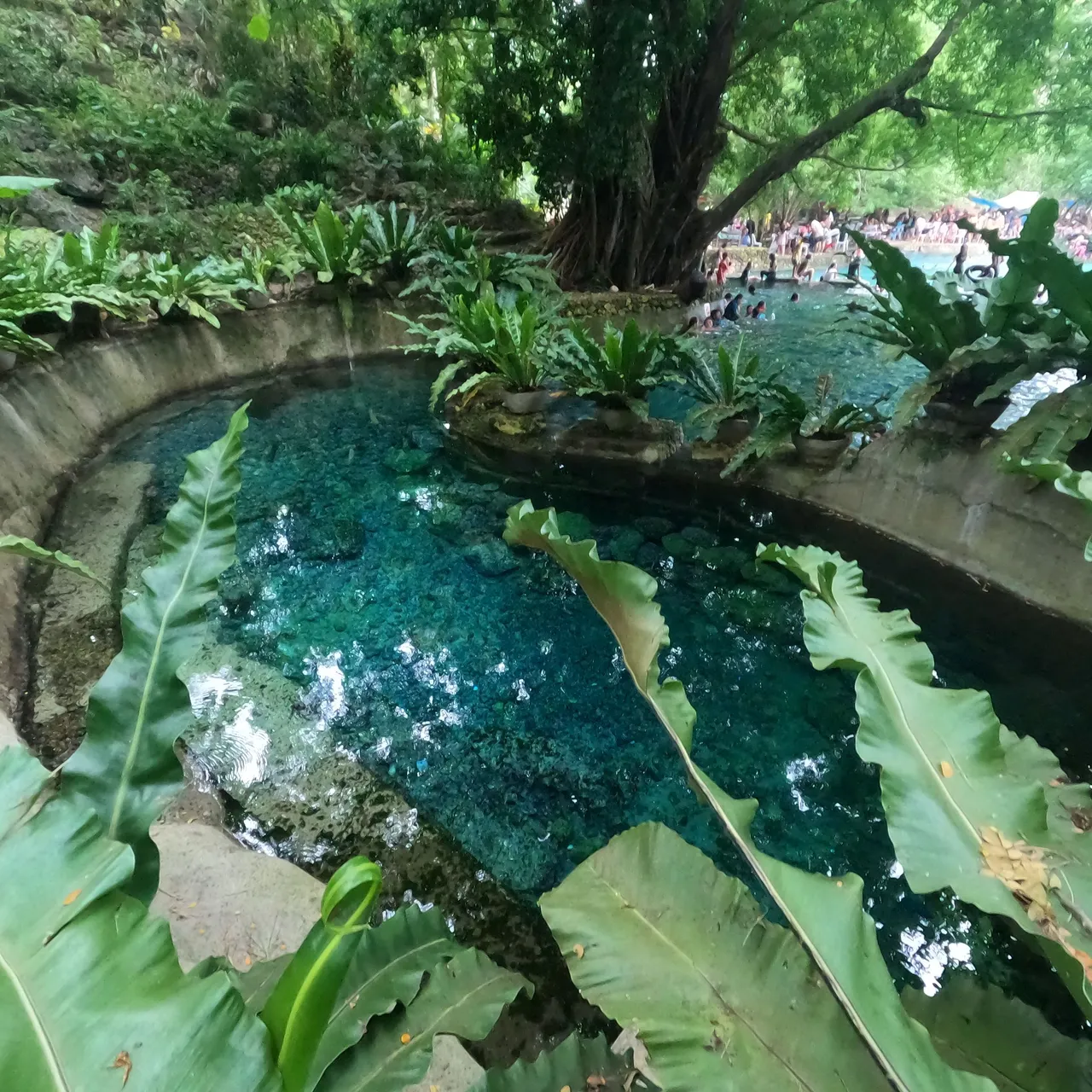 Banyan Spring Resort Revisited: A Decade Later