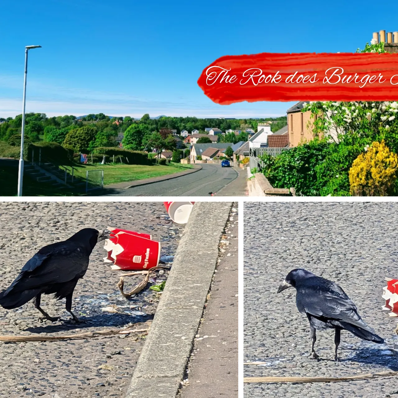 The Rook does Burger King!