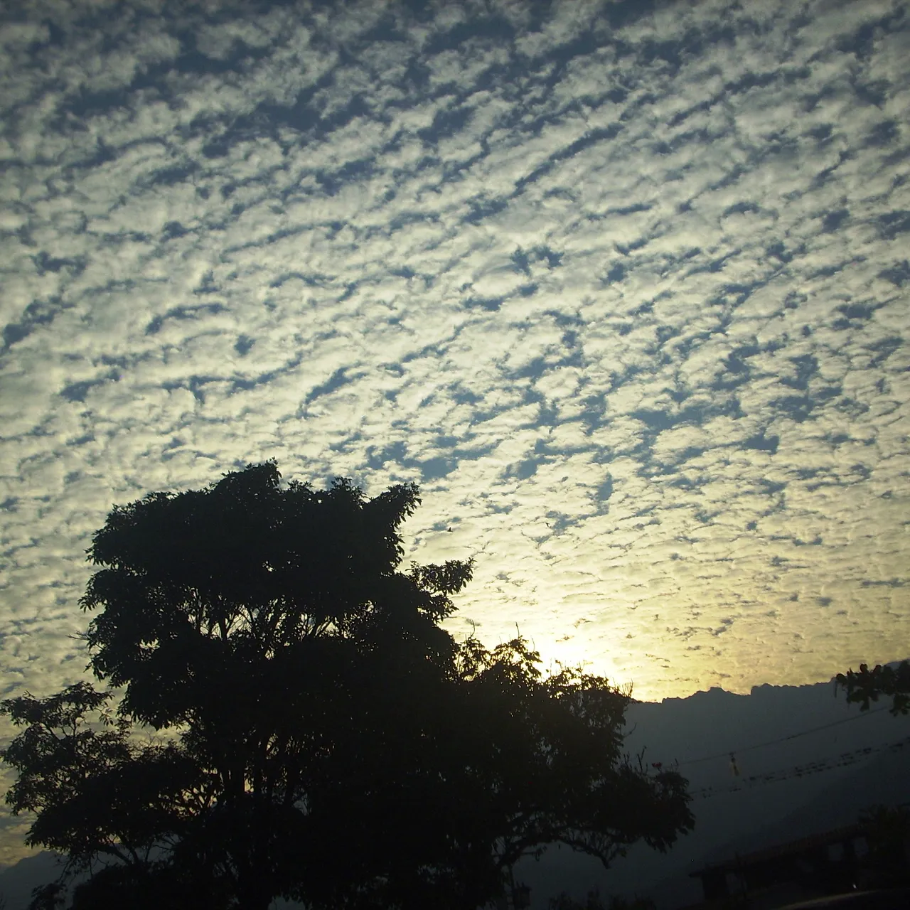 “LA LUZ DE UN NUEVO DIA" CONCURSO FOTOGRÁFICO FOTOCELF ESP-ENG