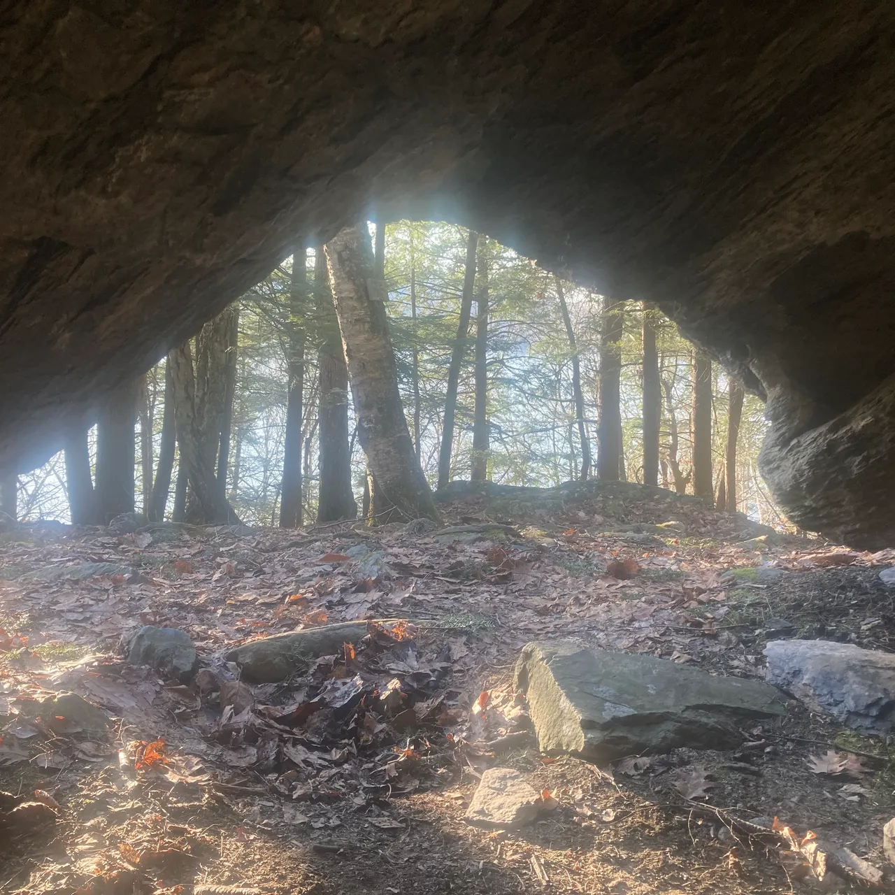 Ethan Allen Cave