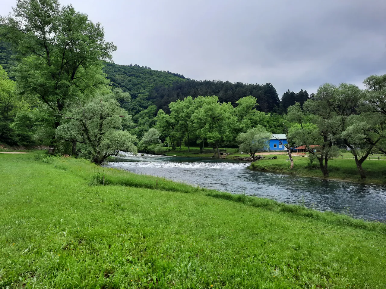 Wednesday Walk - River side and Forest walk