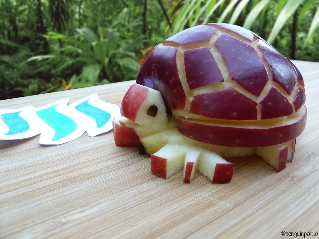How to Make a Turtle from an Apple