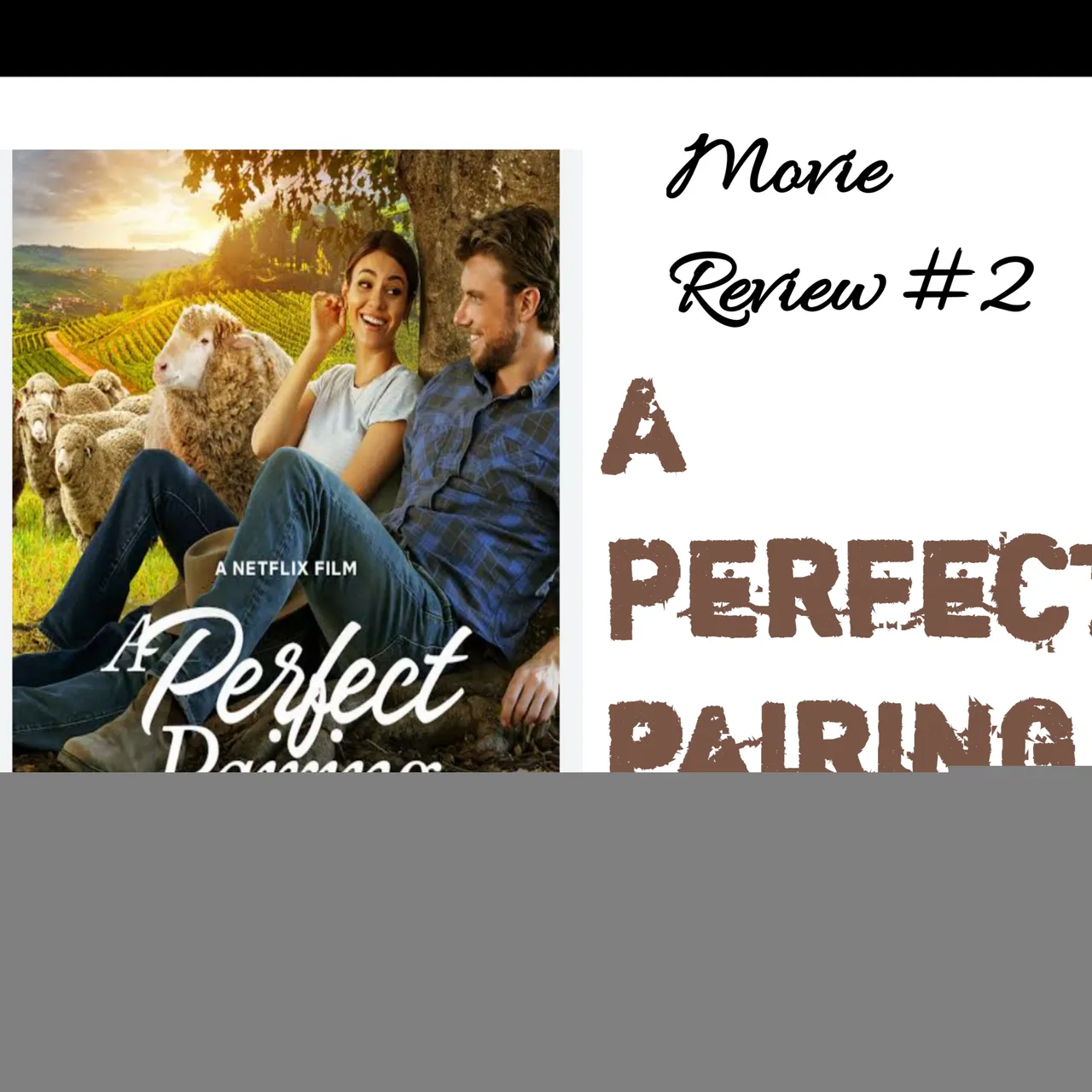 A PERFECT PAIRING|| Movie Review 🍿