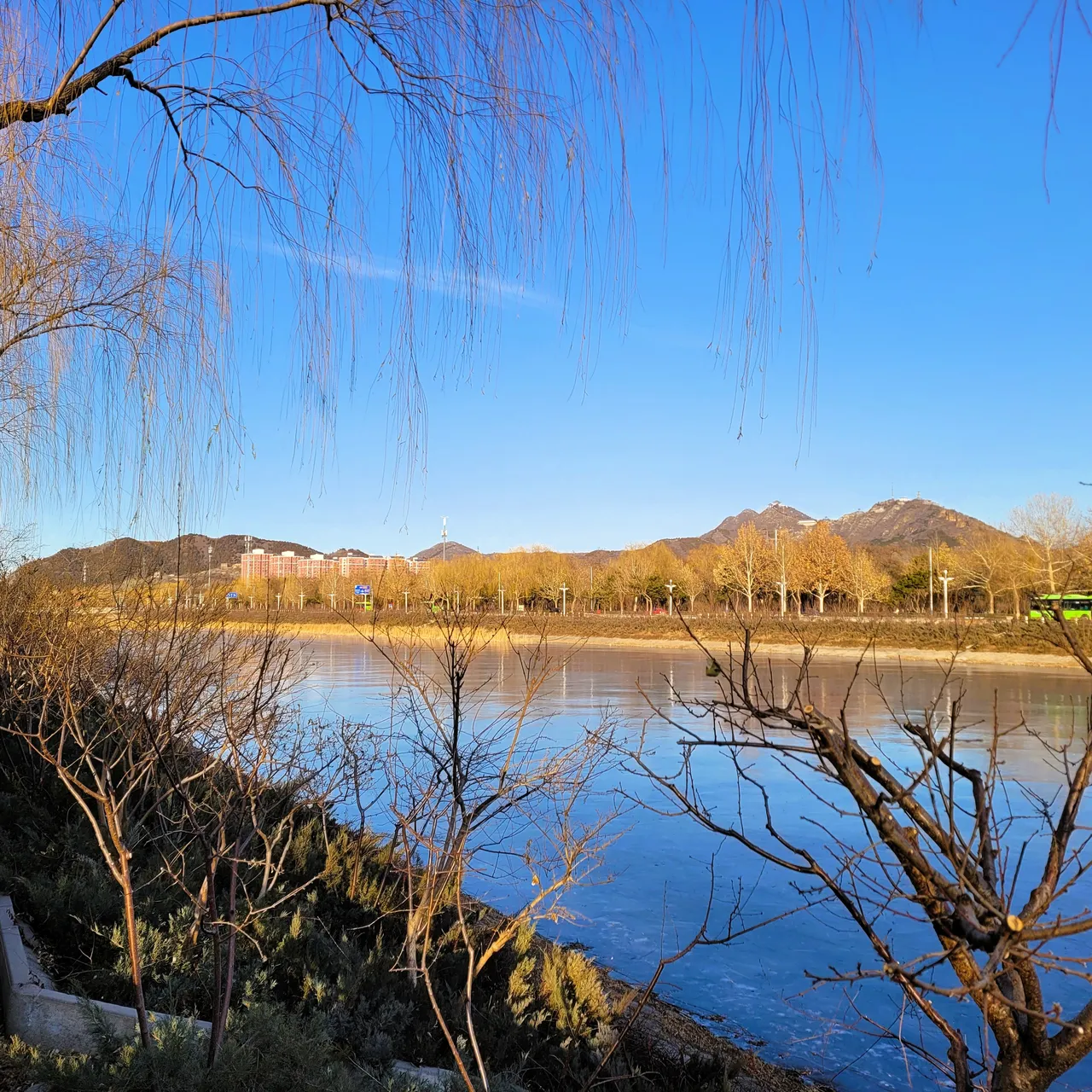 Walking Along The Frozen Riverside Baihe Park
