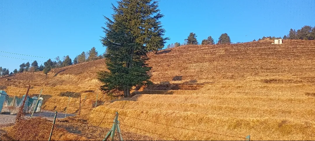 Exploring the Fagu farm 🏞️ (A potato research institute, Shimla, I...