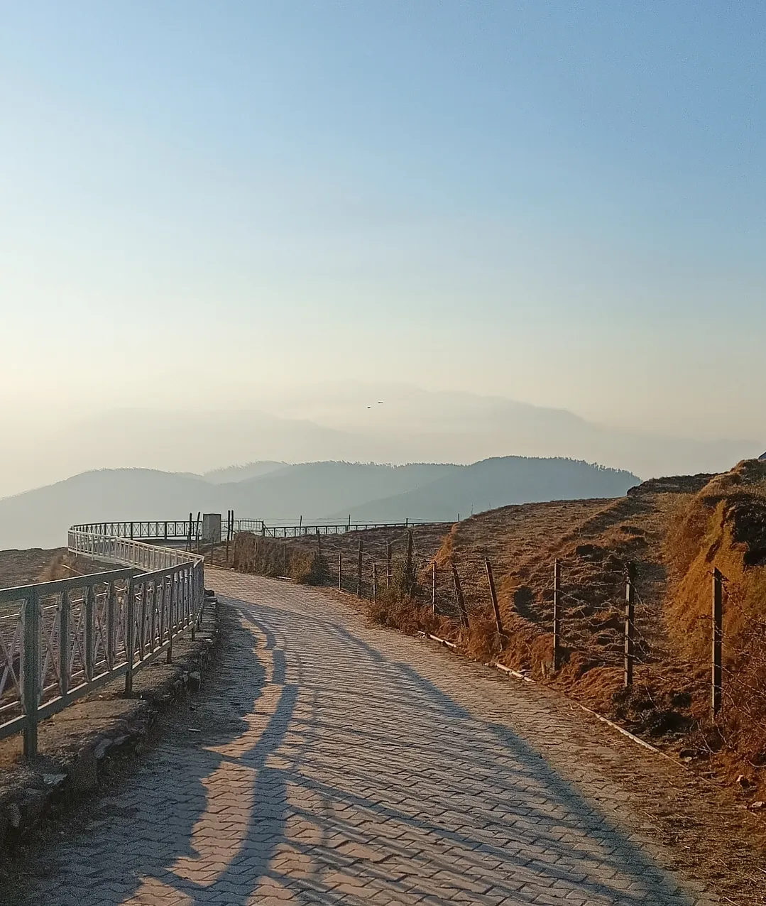 Exploring the Fagu farm 🏞️ (A potato research institute, Shimla, I...