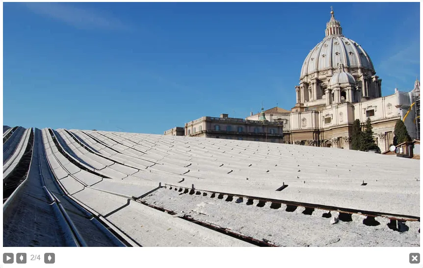 Pope Paul VI Audience Hall: Snake Bite in Vatican City + St. Pete...