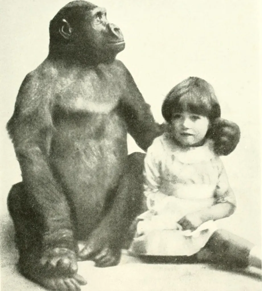 When the Control Becomes the Specimen in a Chimpanzee to Human Expe...