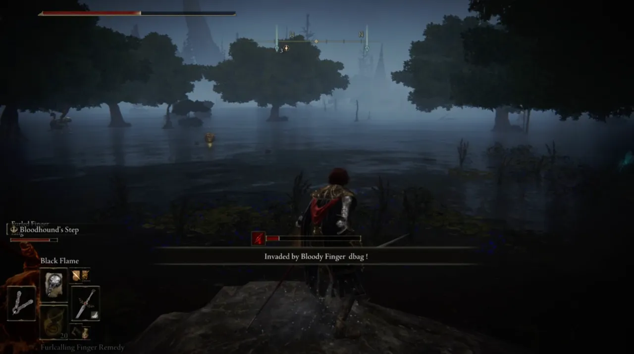 Elden Ring - Multiplayer - Rose Church, Frogs, & Bloodyfingers #7