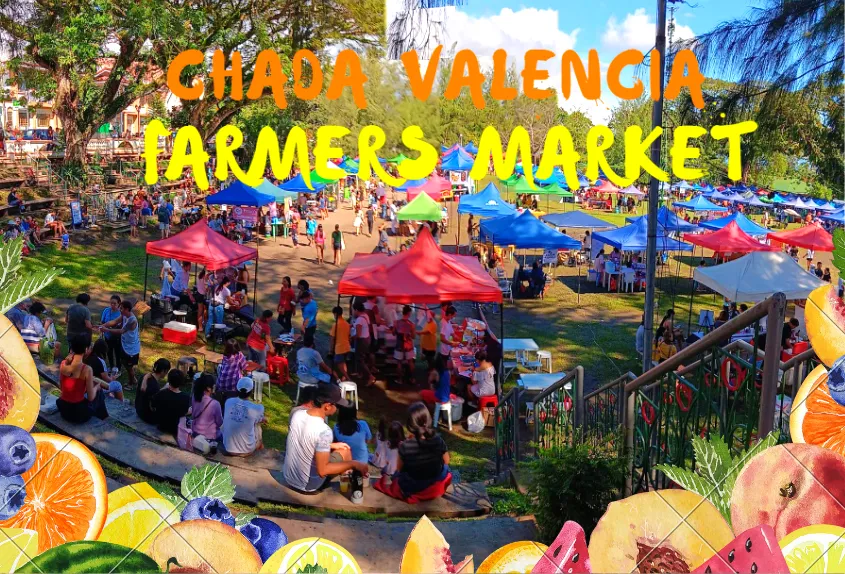 Market at Chada Valencia