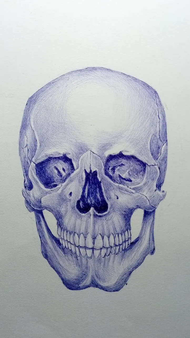Drawing a skull using the Loomis method / Dibujando un cráneo apli...