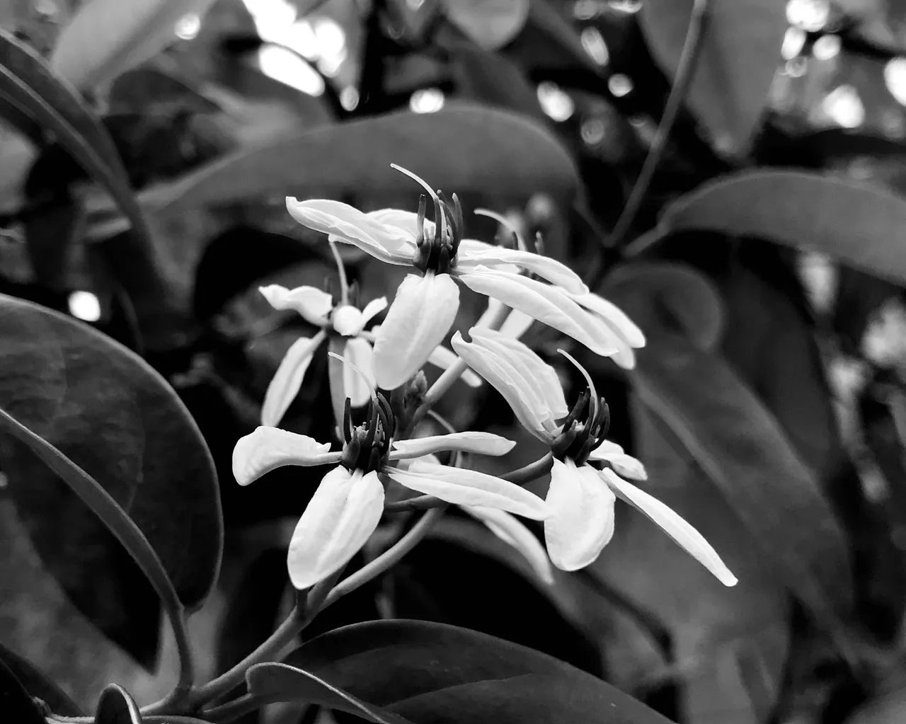 "Moments To Cherish"