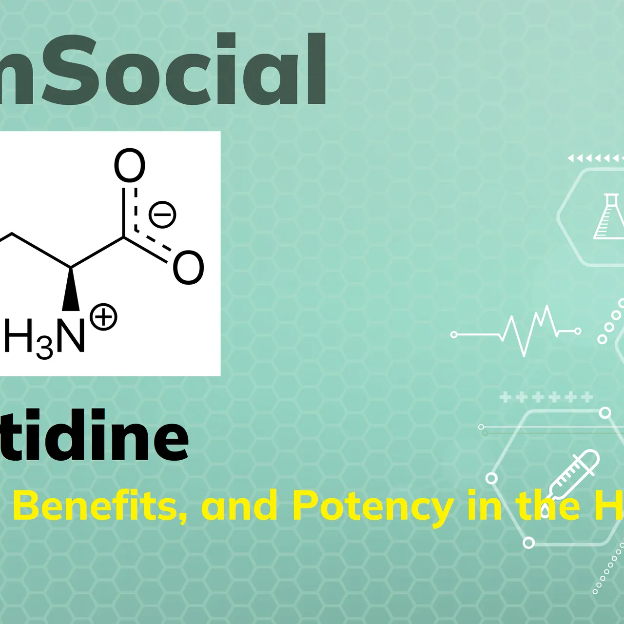 L- Histidine: Functions, Benefits, and Potency in the Human body