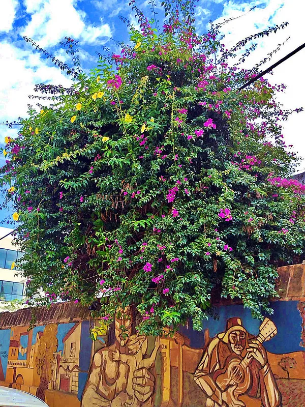 Hunting shadow in a pleasant and beautiful place (Es-Eng)