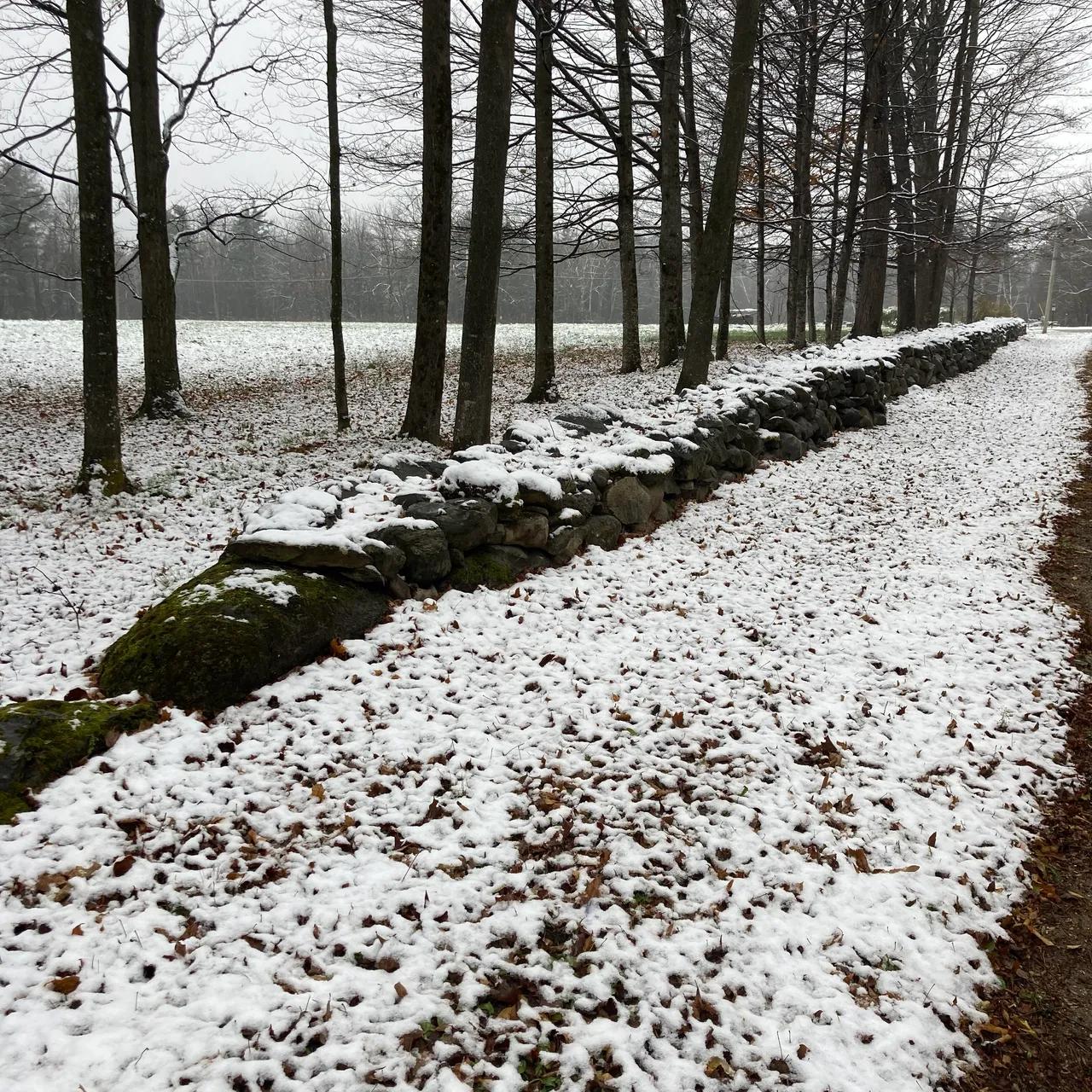 A dusting of snow and first ice on lake