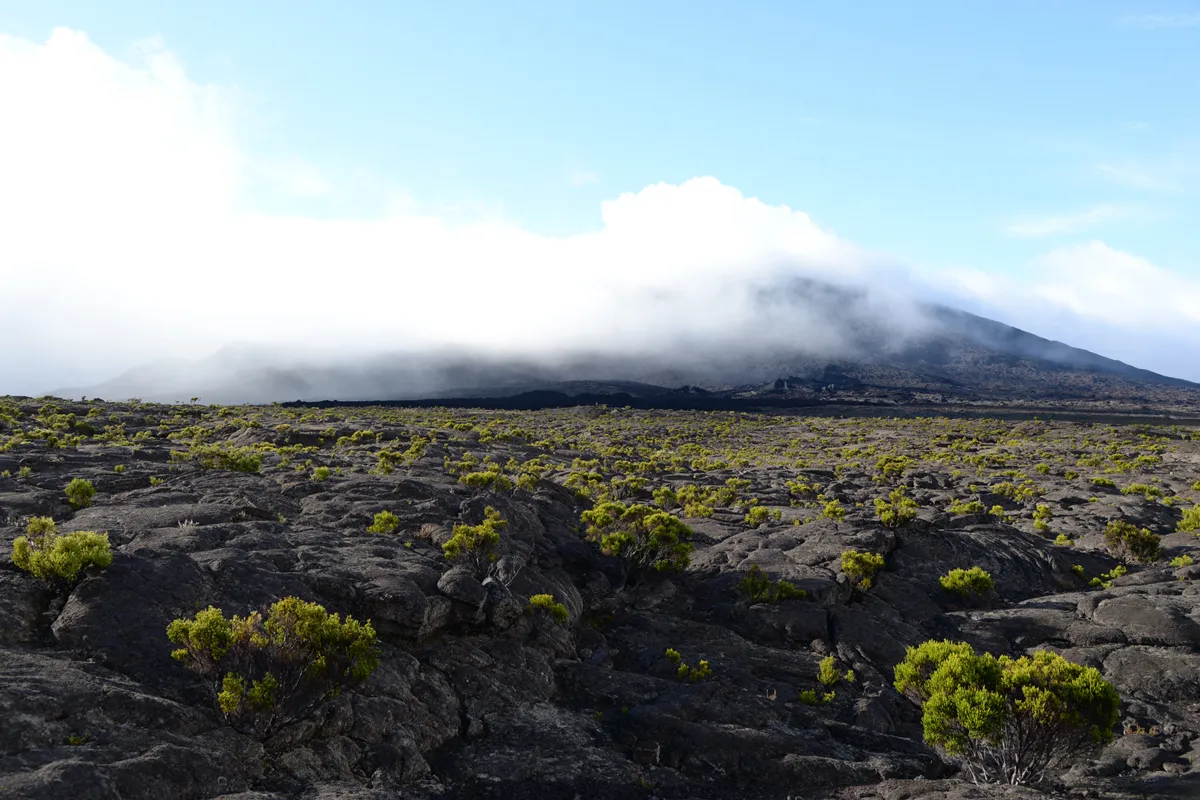Hiking one of the worlds most active volcanoes - Piton de la Fourna...