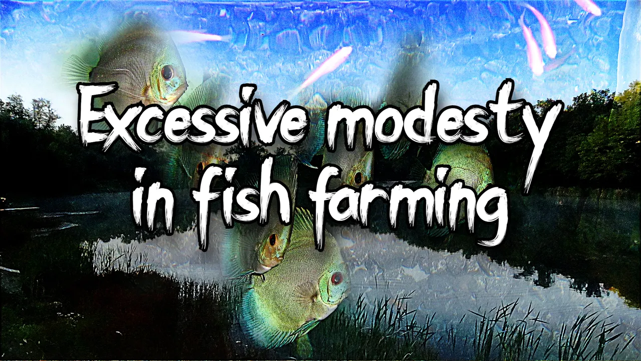 Excessive modesty in fish farming.