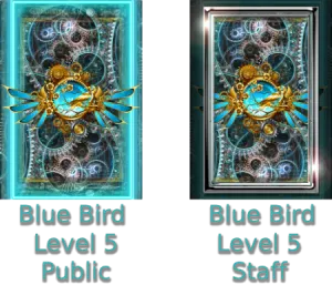 Level 5 Cards and their Features