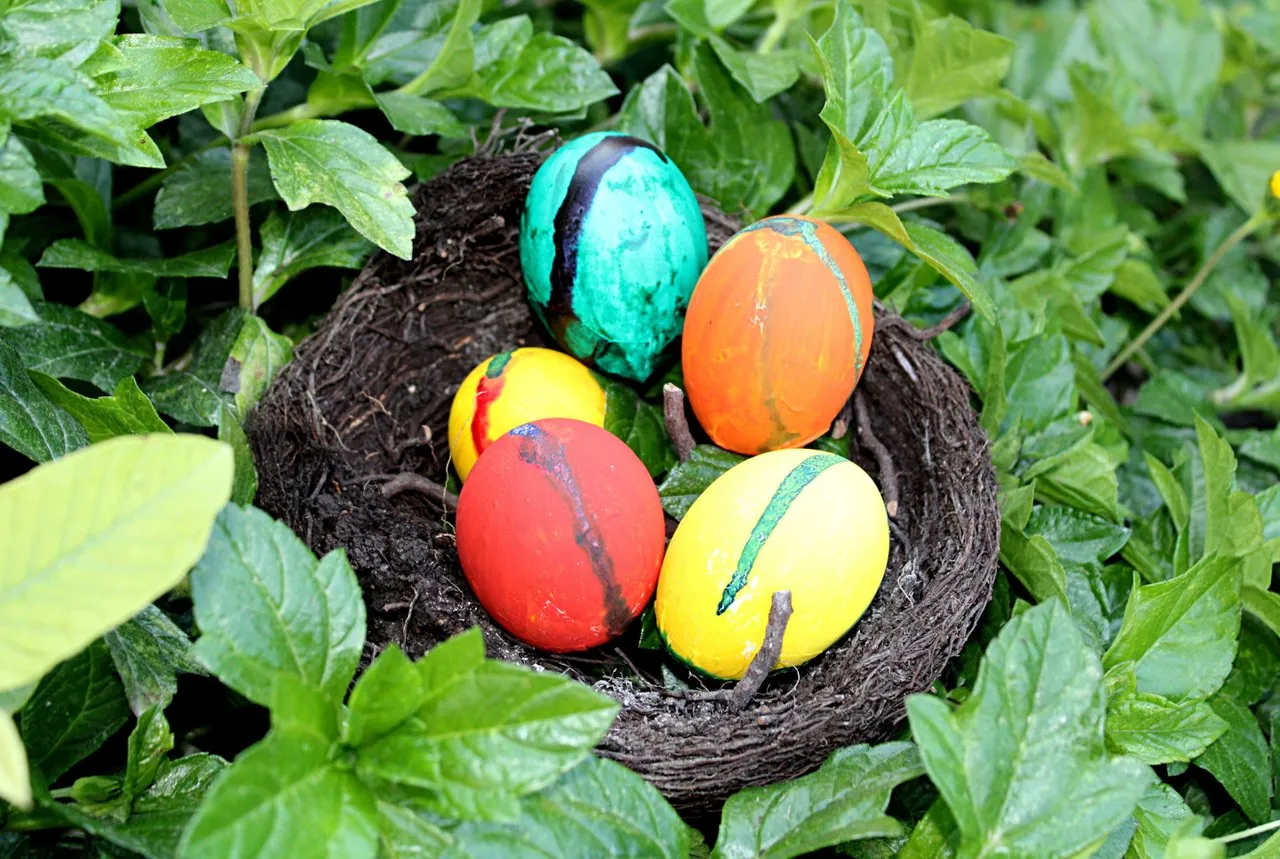 Cosas de locos [Esp-Eng]