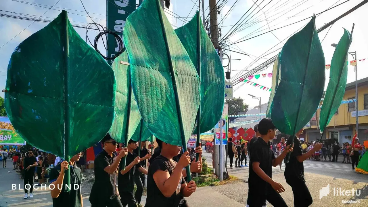 Footsteps of Joy: A Photographic Walk Tale of Danggayan's Festival ...