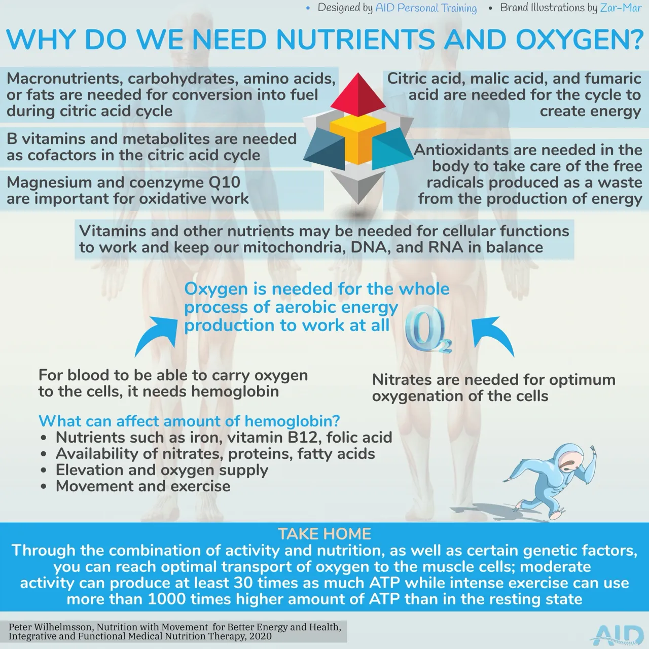 Why do we need oxygen and nutrients, and how do we create energy?