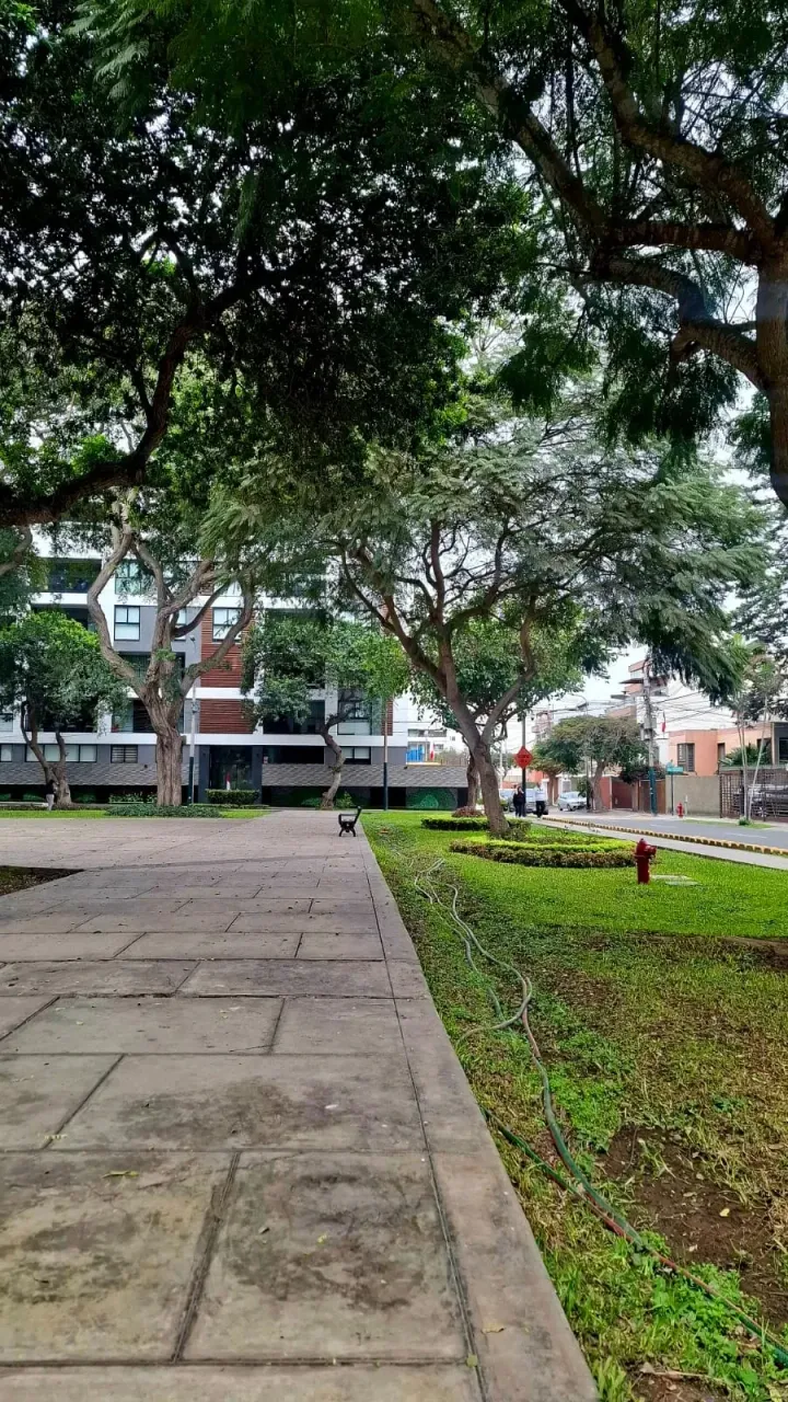 A breath among trees / Un respiro entre árboles 🍃 [Esp/Eng]