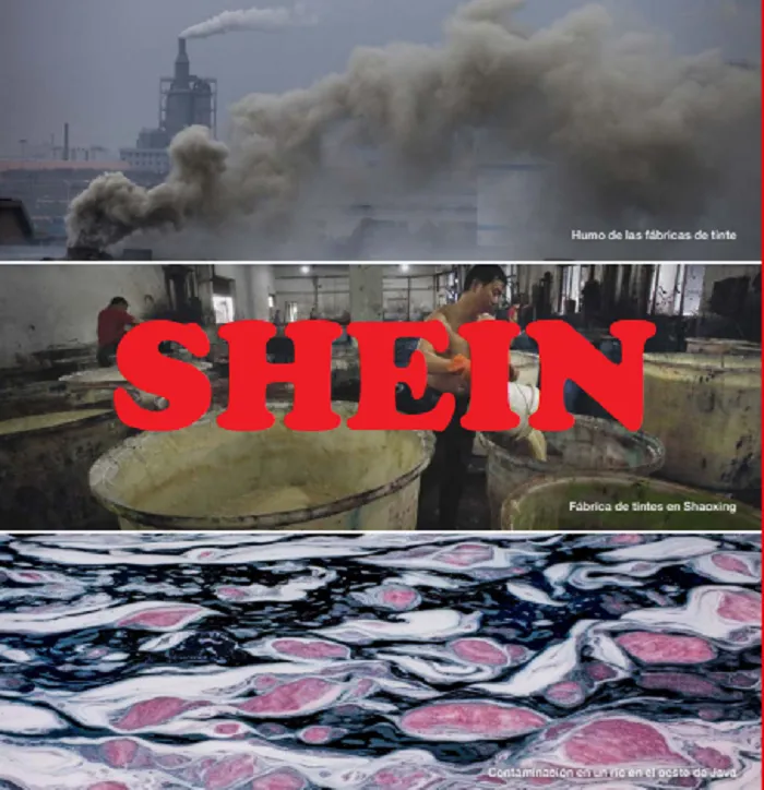 SHEIN, the fast fashion empire that sells toxic clothing and pollu...
