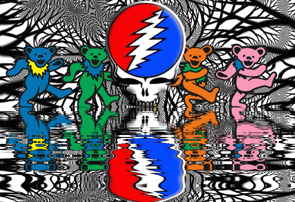 Grateful Dead - RFK Stadium - June 10, 1973