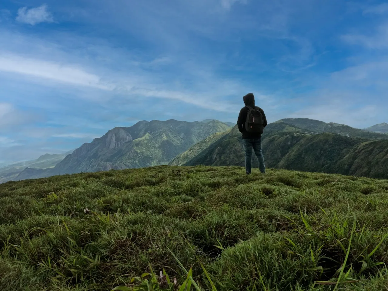 At the top of the Kallippara Hills, Neelakuriji bloomed. 🌸