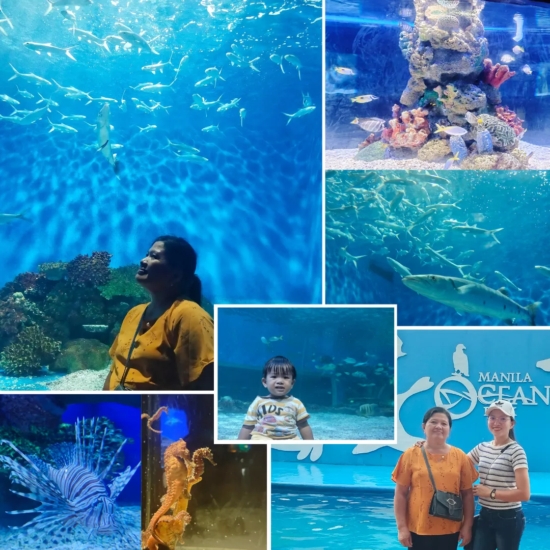Exploring Oceanarium and Manila Ocean Park Adventure With The Fam