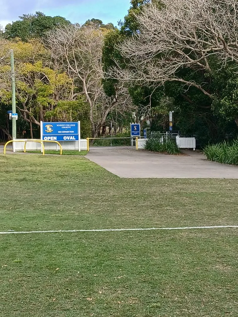 Des Connor Junior parkrun Brisbane
