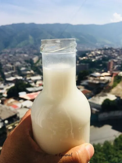 Sesame vegetable milk - [ESP/ENG]