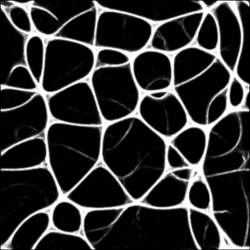 Slime Simulations - Create Stunning Animations from Simple Math