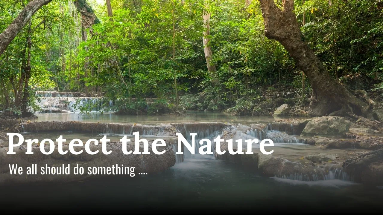 Digital Era vs. Natural Beauty: Finding Balance in a Tech-Driven Wo...