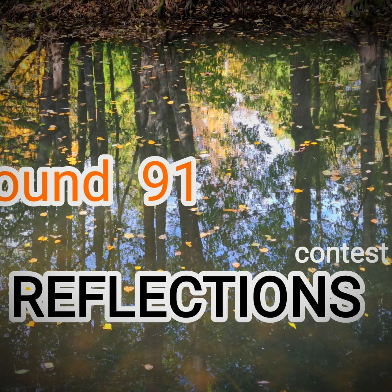 Reflection Hunters Contest ~ Round 91 🍁 Announcement!