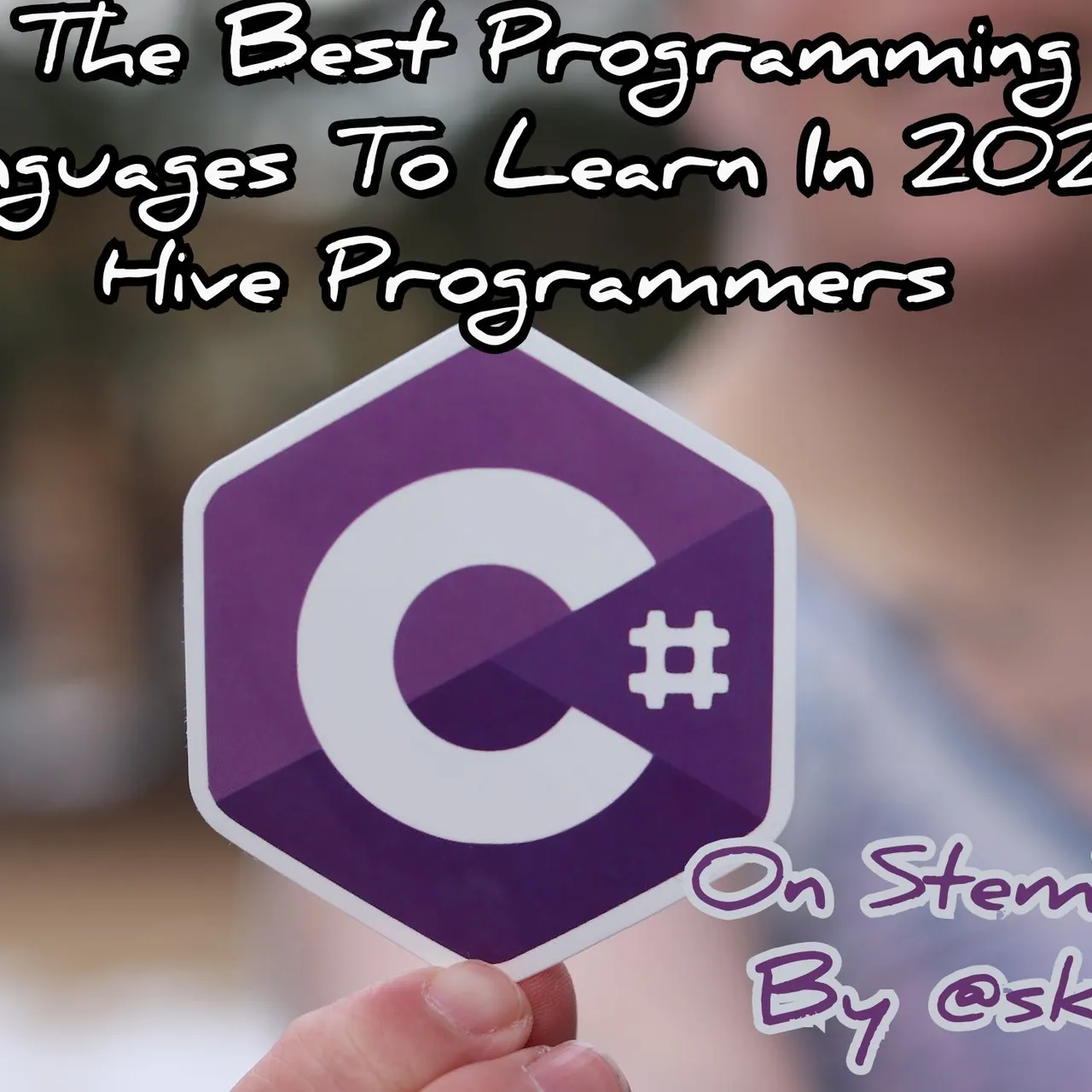 The Best Programming Languages To Learn In 2024 - Hive Programmers
