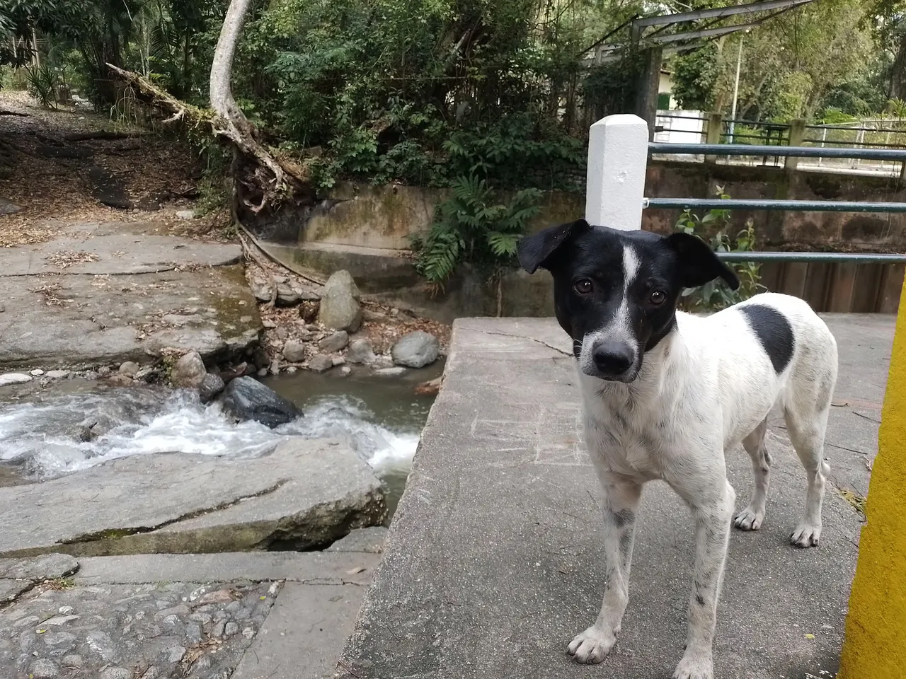 Visiting the "Leonor Bernabo" Park after many years [ENG/SPA]