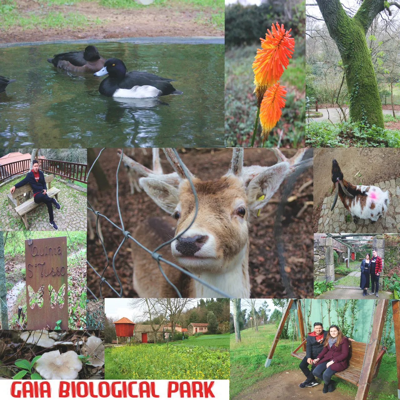 Gaia Biological Park🚙🚩🌍 / Parque Biologico de Gaia🌄