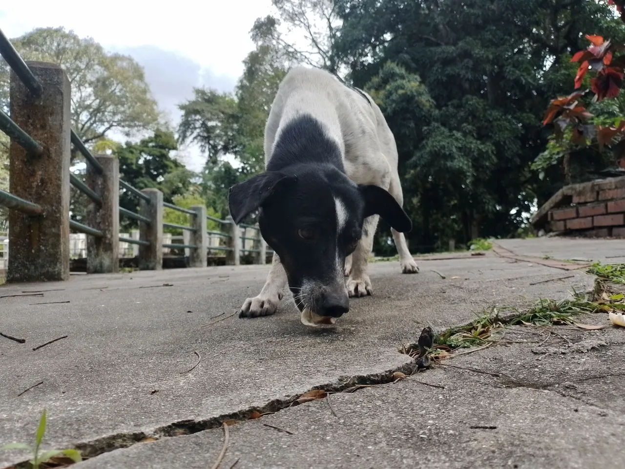 Visiting the "Leonor Bernabo" Park after many years [ENG/SPA]