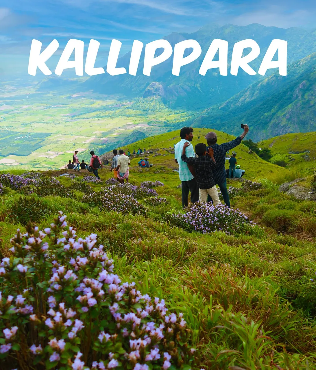 At the top of the Kallippara Hills, Neelakuriji bloomed. 🌸