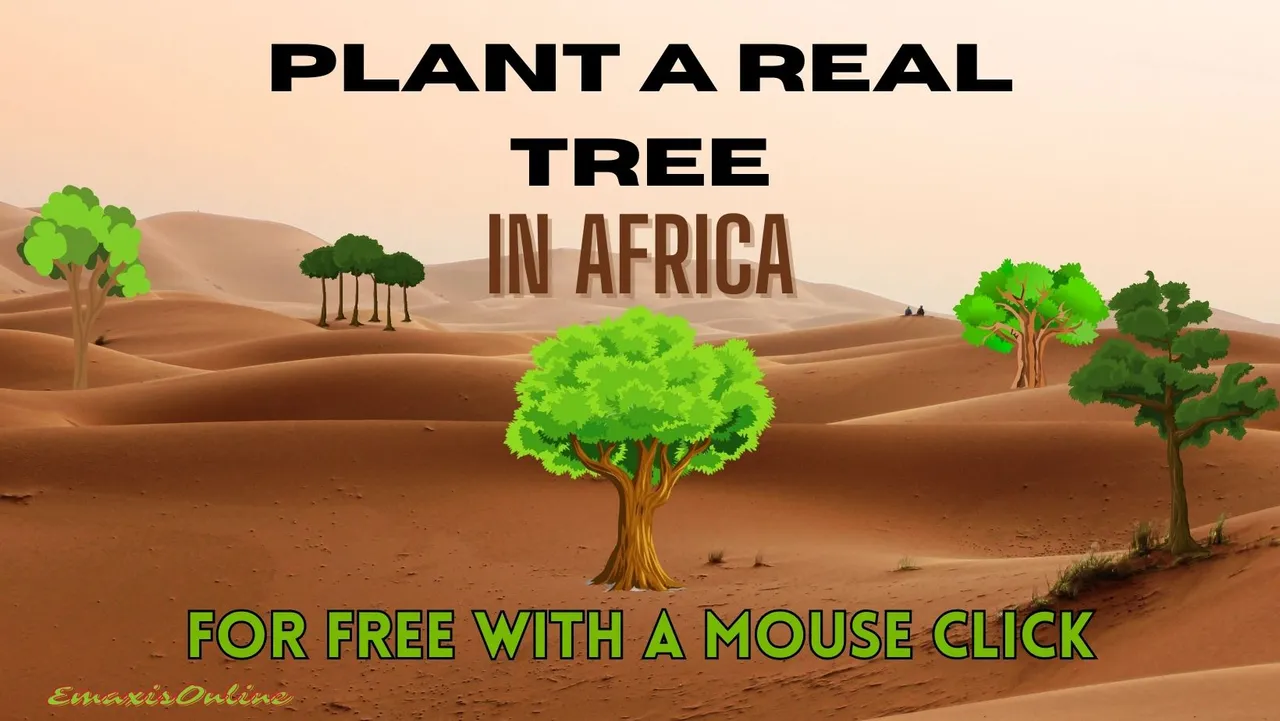 Plant a Real Tree in Africa for Free with a Mouse Click [EN/FR]