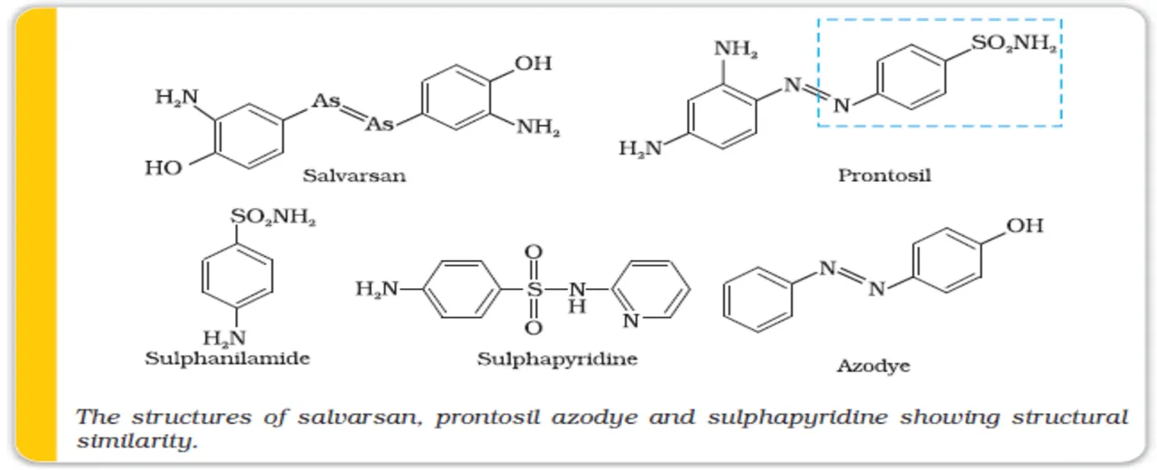 What are Antimicrobials and Antimicrobial Drugs? |ChemFam #44|