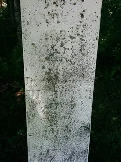 Family Skeletons (Part 8) : Deborah Belyea (1806-1869)