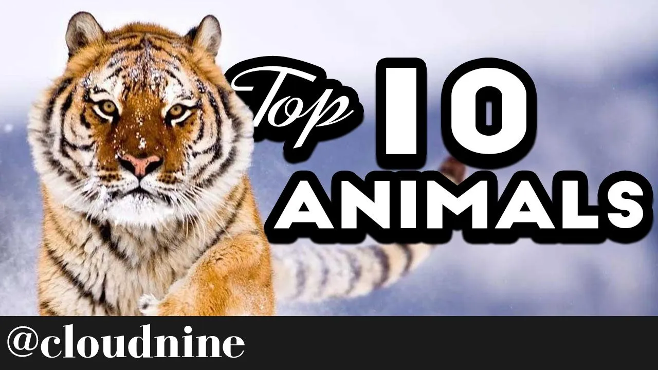 TOP 10 - Strongest Animals
