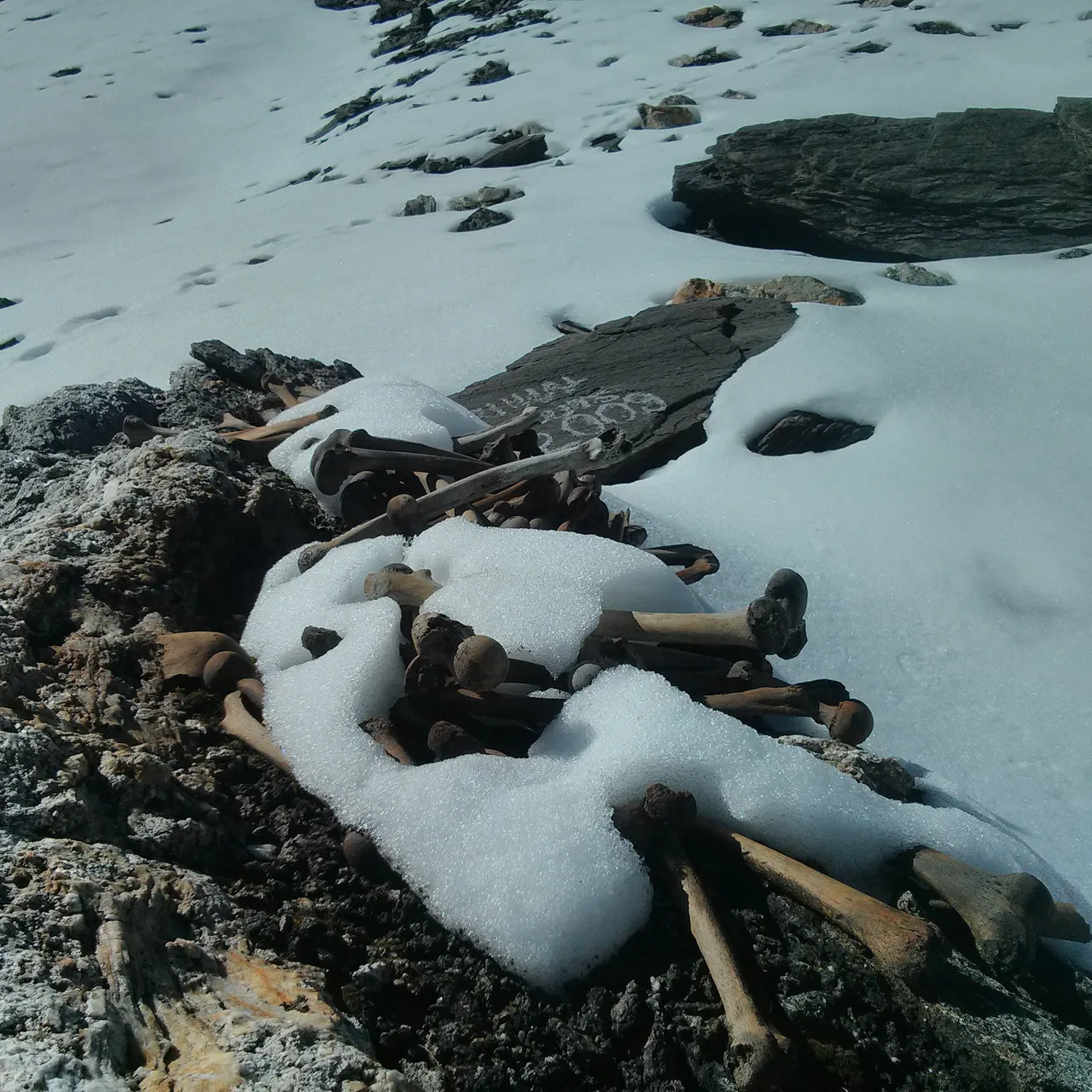 What Happened At The Skeleton Lake?