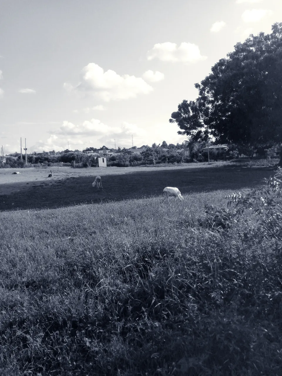 BLACK AND WHITE PHOTOGRAPHY