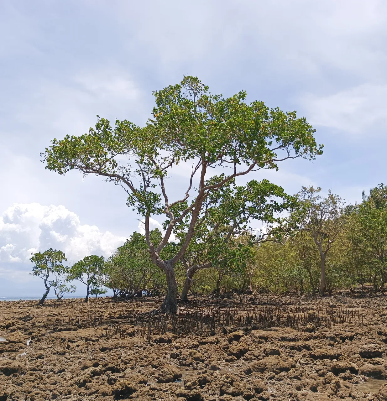 Holiday getaway at Kawas Beach Resort