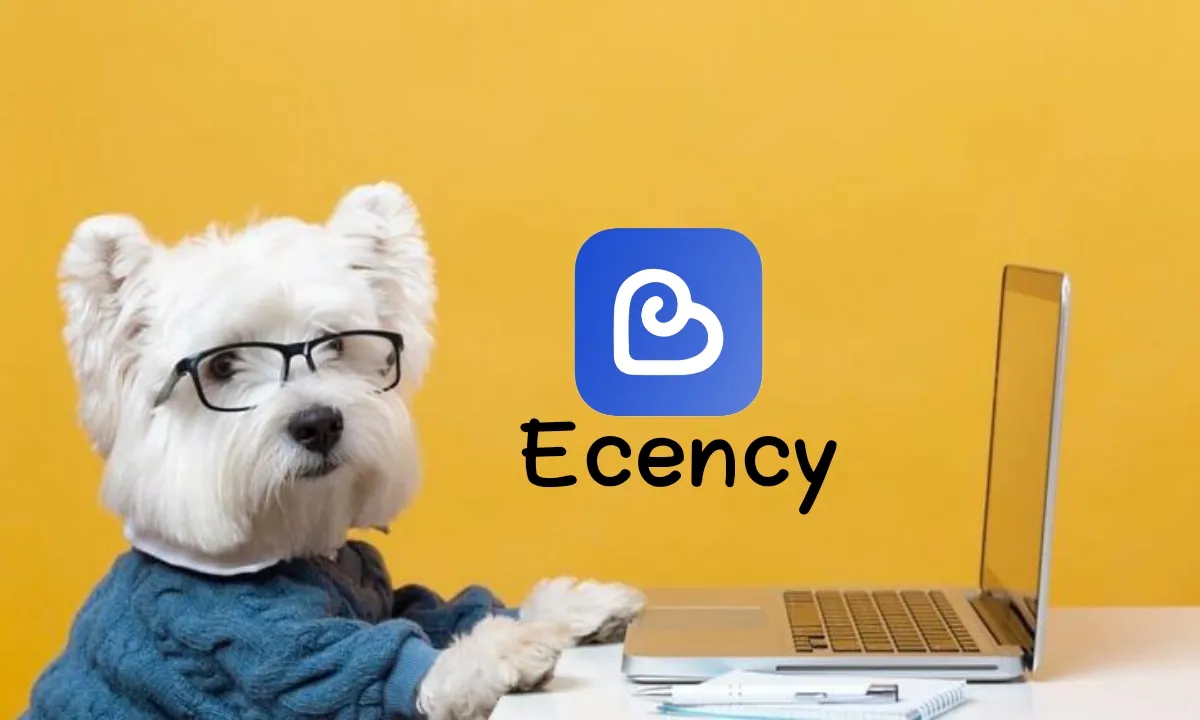 What is Ecency How to Use Ecency Boost Promote
